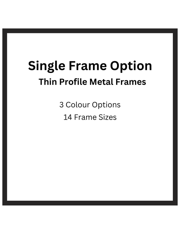 Picture & Poster Frames - ON THE WALL FRAMES